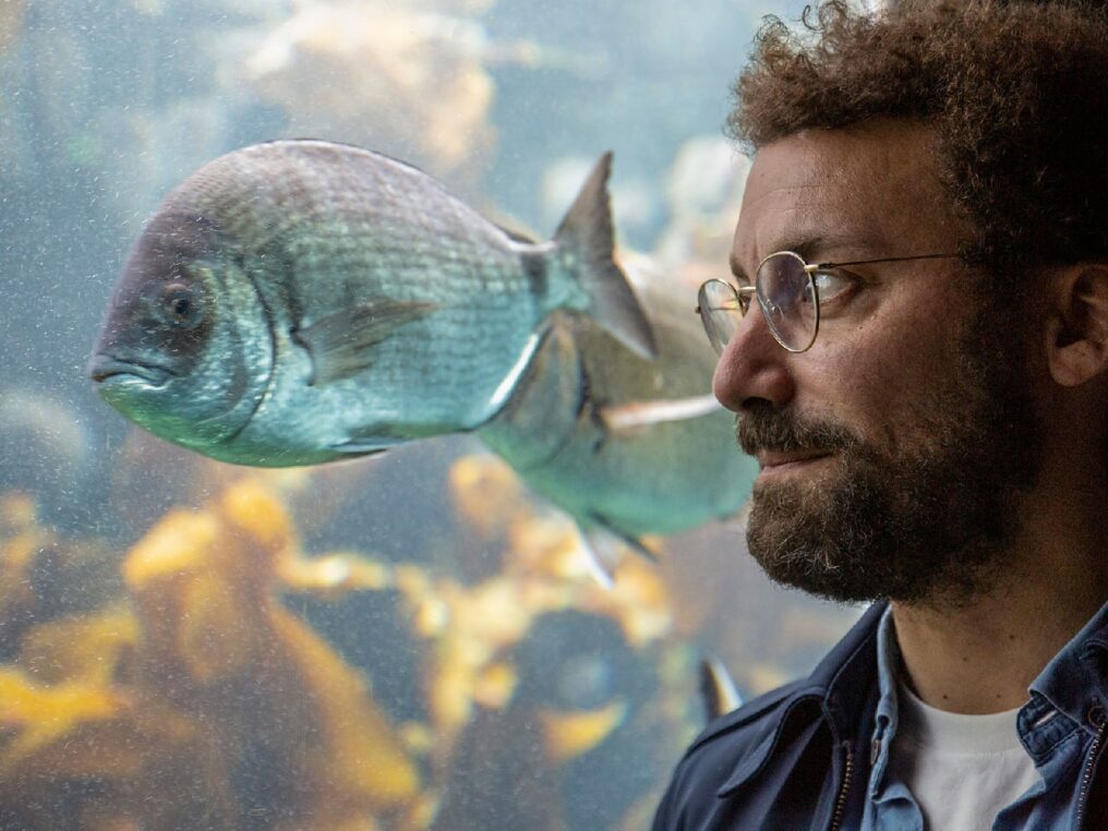 Raconter le monde pour se réconcilier avec lui