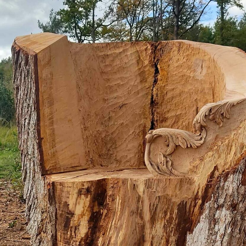 Entrez en résonance avec Tiphaine Calmettes